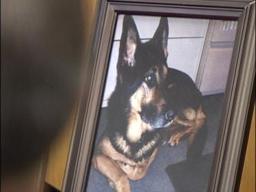 Saying Goodbye To Cheiko