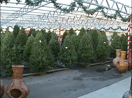 Christmas Tree Safety Tips