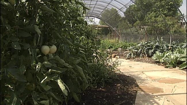 Empty Zoo Exhibit Space Turns Into Vegetable Garden For Animals