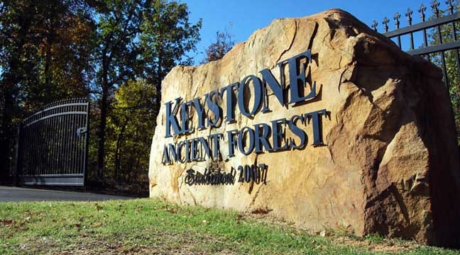 Sand Springs To Make Keystone Ancient Forest More Accessible For Those ...