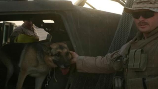 Retired Oklahoma Marine Dog Given Military Funeral