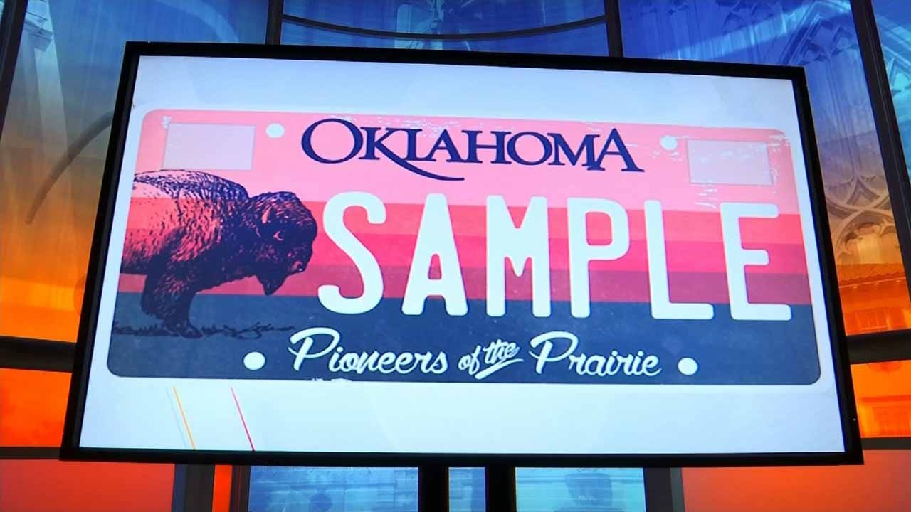 'Bison-Themed' License Plate Halfway Towards Goal