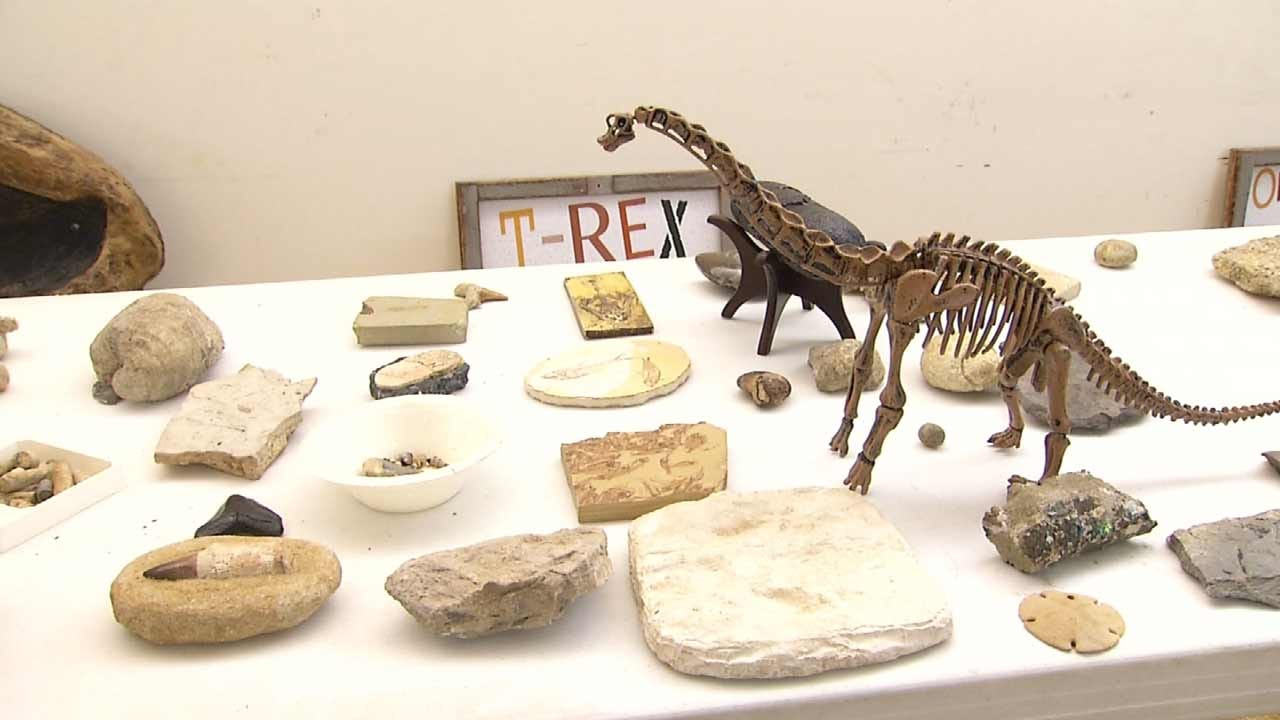 Tulsa's Geoscience Center A Fun, Educational Summer Field Trip