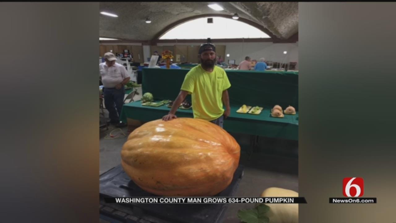 634-Pound Pumpkin Wins Washington County Contest