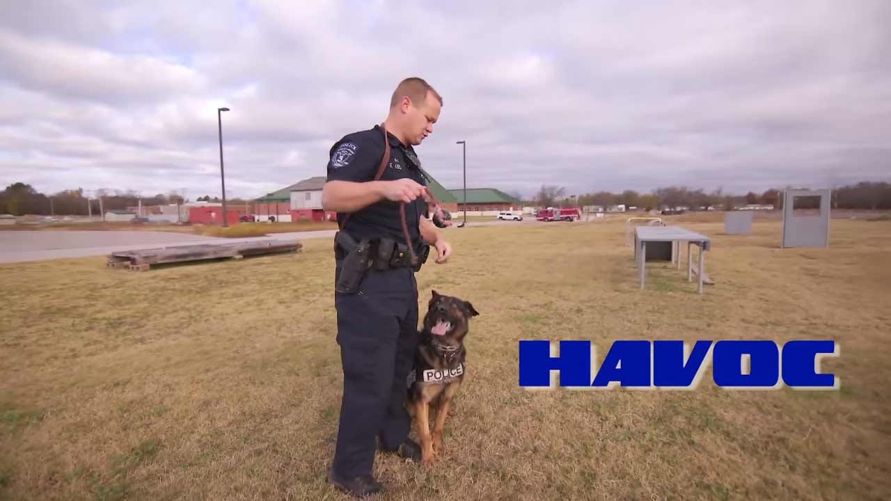 BAPD Mourning Loss Of K-9 Officer Havoc