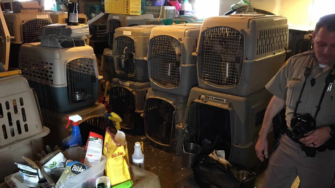 Tulsa Animal Hoarding Case Calls Overwhelming Sheriff's Office
