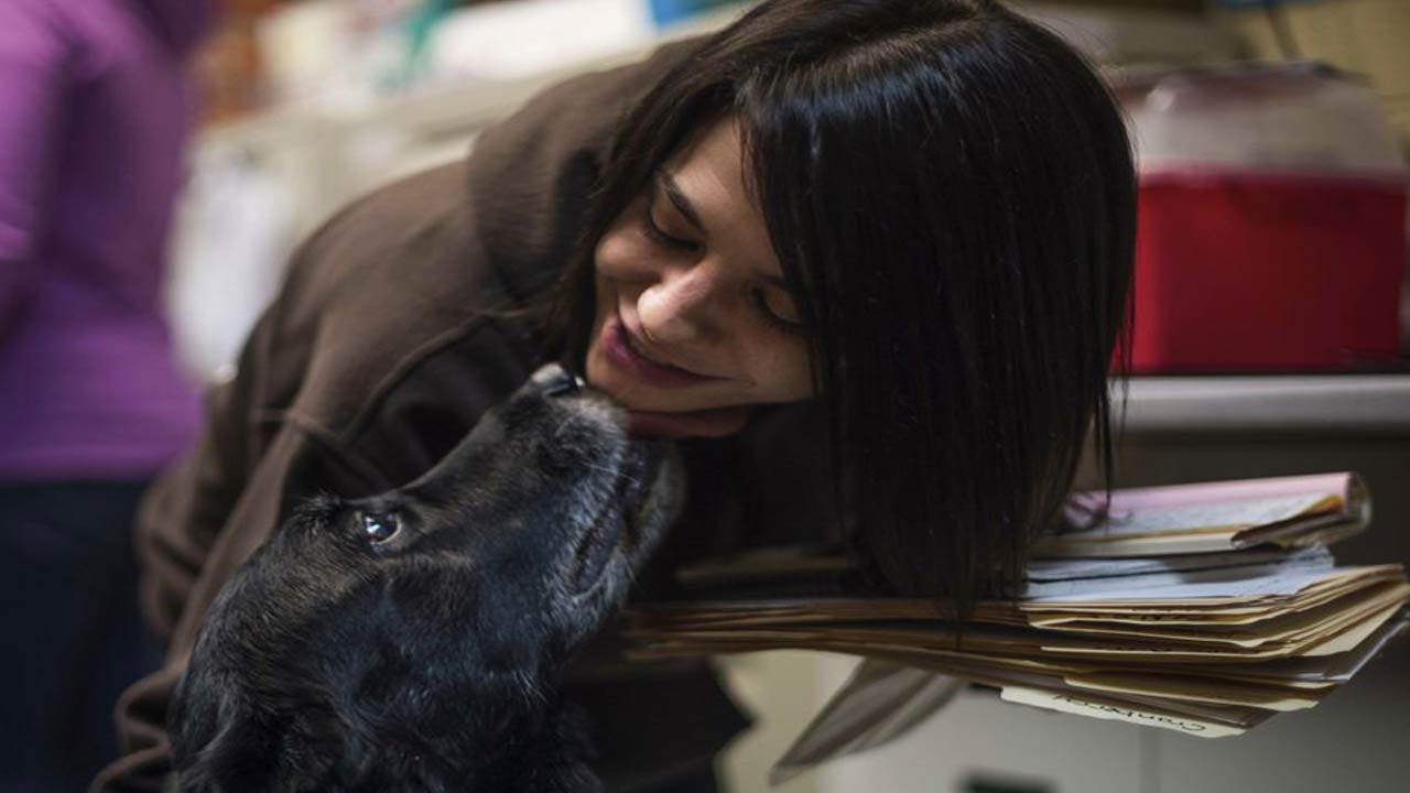 Family’s Dog Turns Up 10 Years After Vanishing From Home