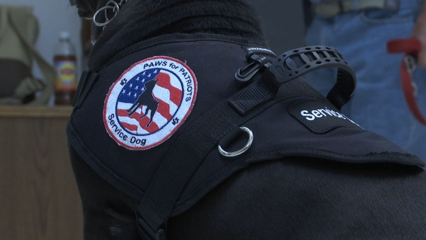 Program Using Inmates To Train Service Dogs For Veterans