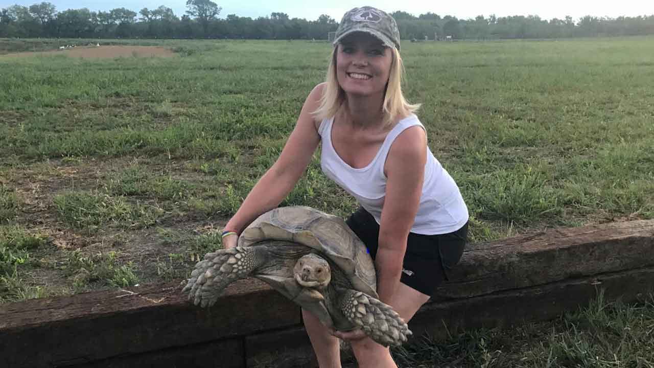 Reward Offered For 80-Pound Tortoise Missing Near Claremore