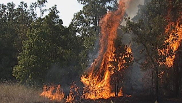 Police Release 911 Call In Suspected Arson Case In Luther