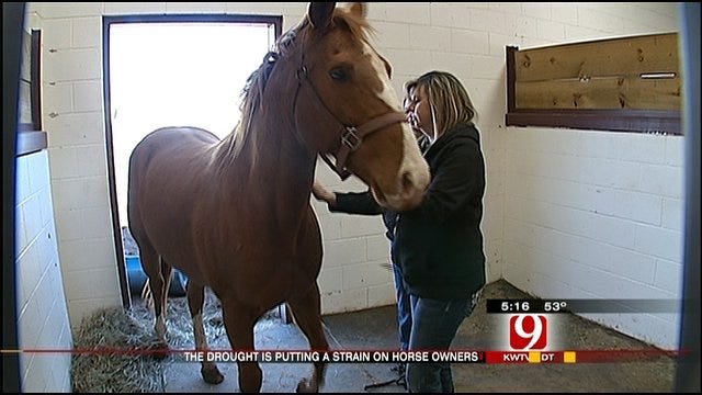 Drought Takes Toll On Jones Horse Rescue Ranch