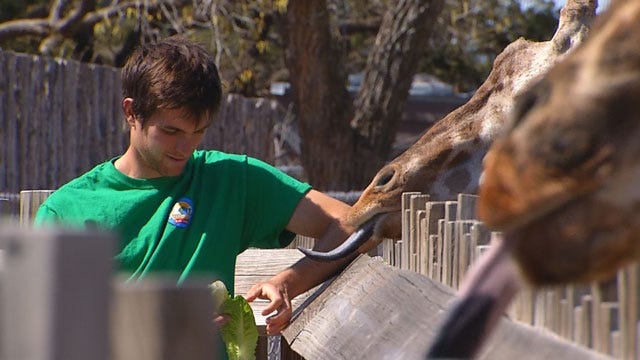 OKC Zoo Patrons, Staff Mourn Loss Of Baby Giraffe