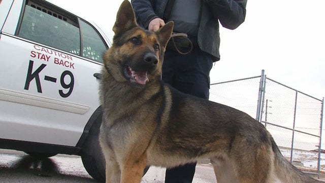 Oklahoma City Police Training New K9 Officers