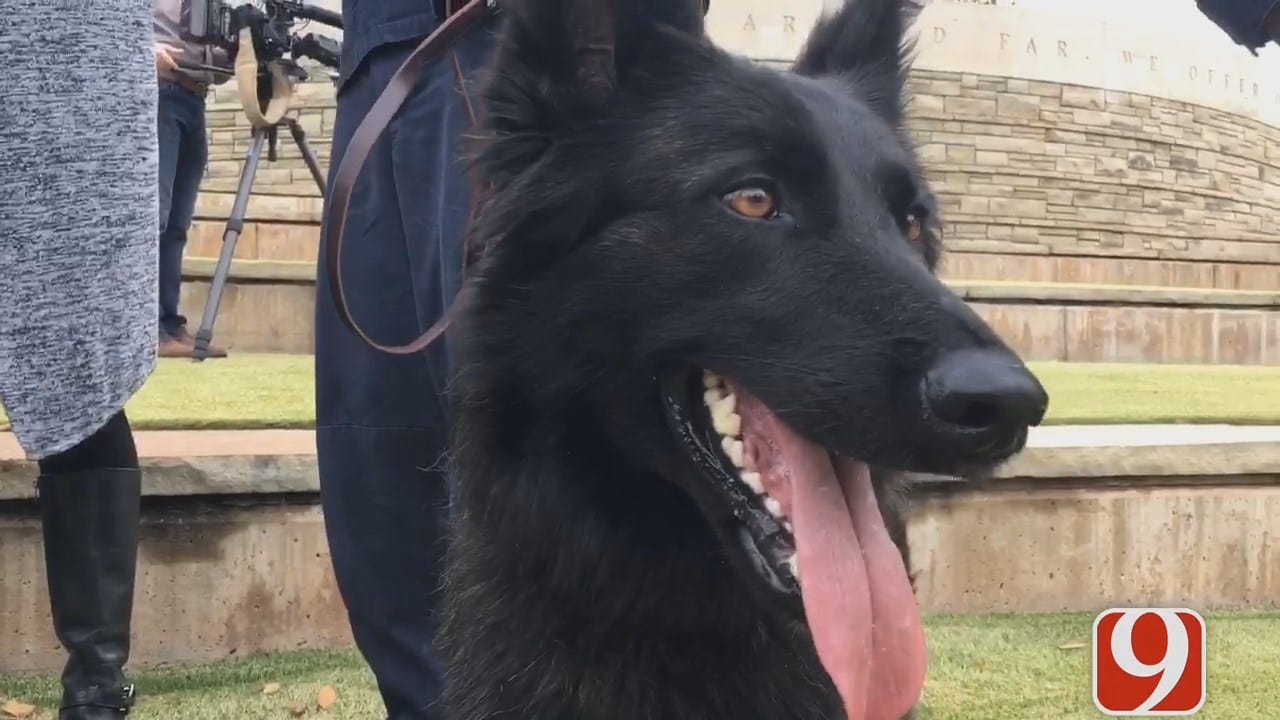 K9 Search And Rescue Facility Coming To Oklahoma
