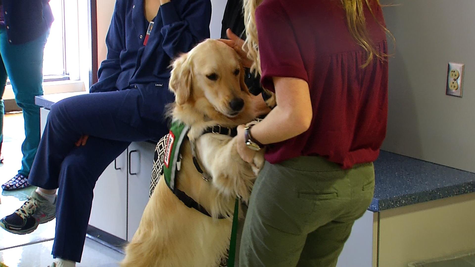 Children’s Hospital Celebrates New Full-Time Therapy Dog