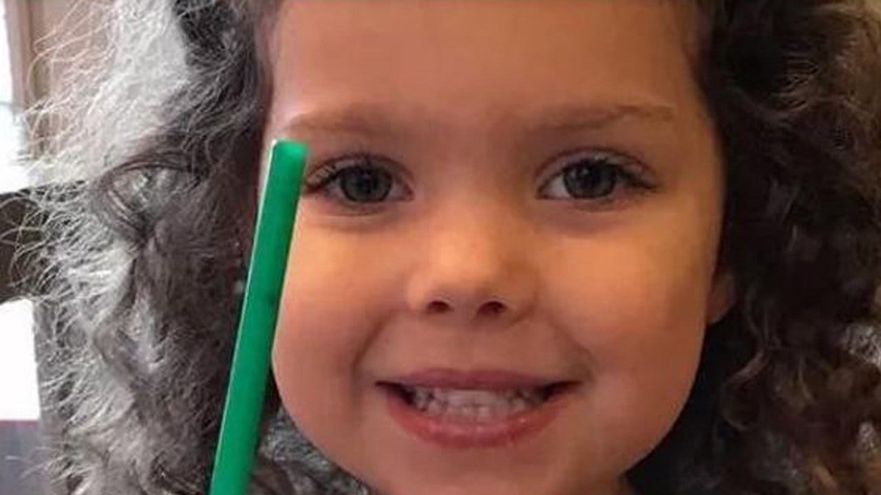 Heidi Todd Missing: Search For S.C. Girl After Officials Say Mom Beaten