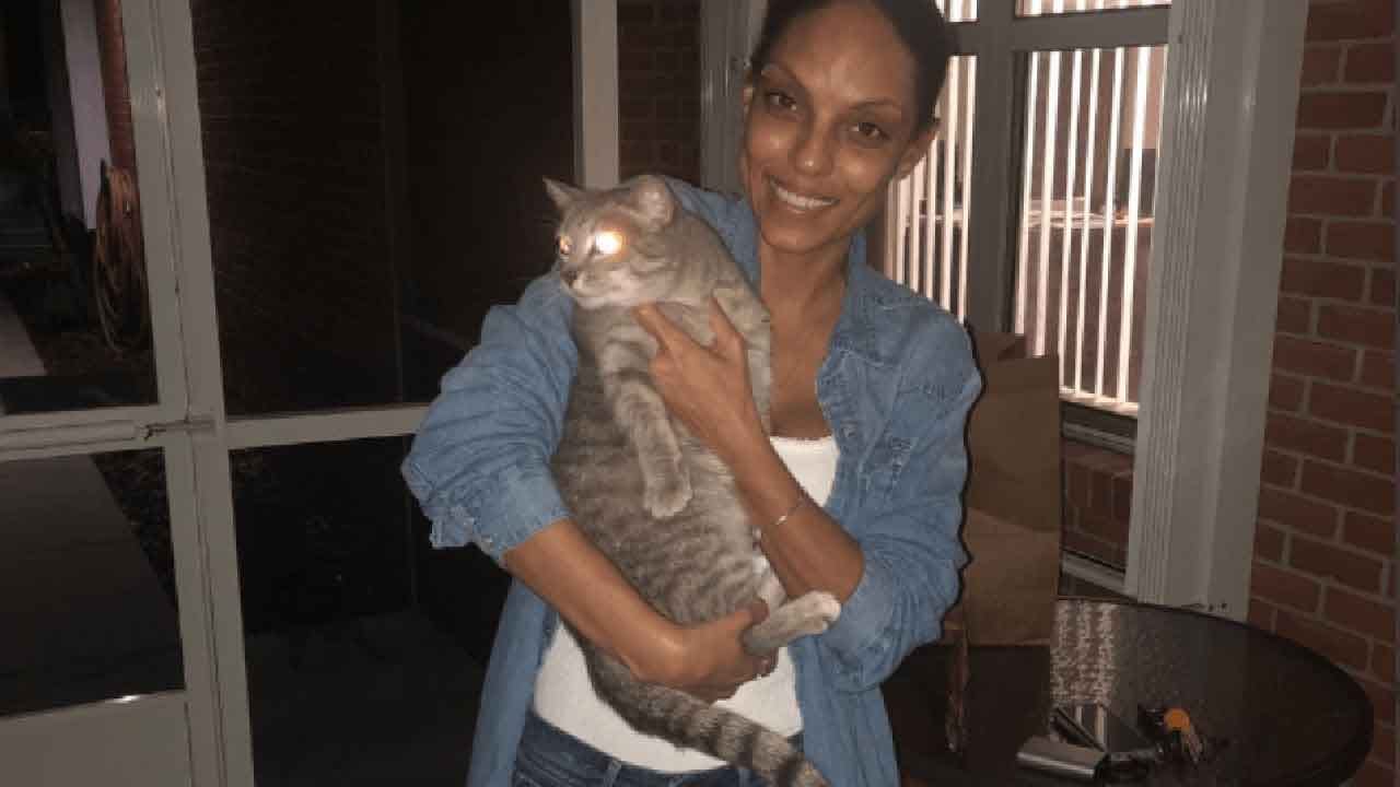 Florida Cat Reunited With Owner 2 Years After Hurricane Florida Cat Reunited With Owner 2 Years After Hurricane