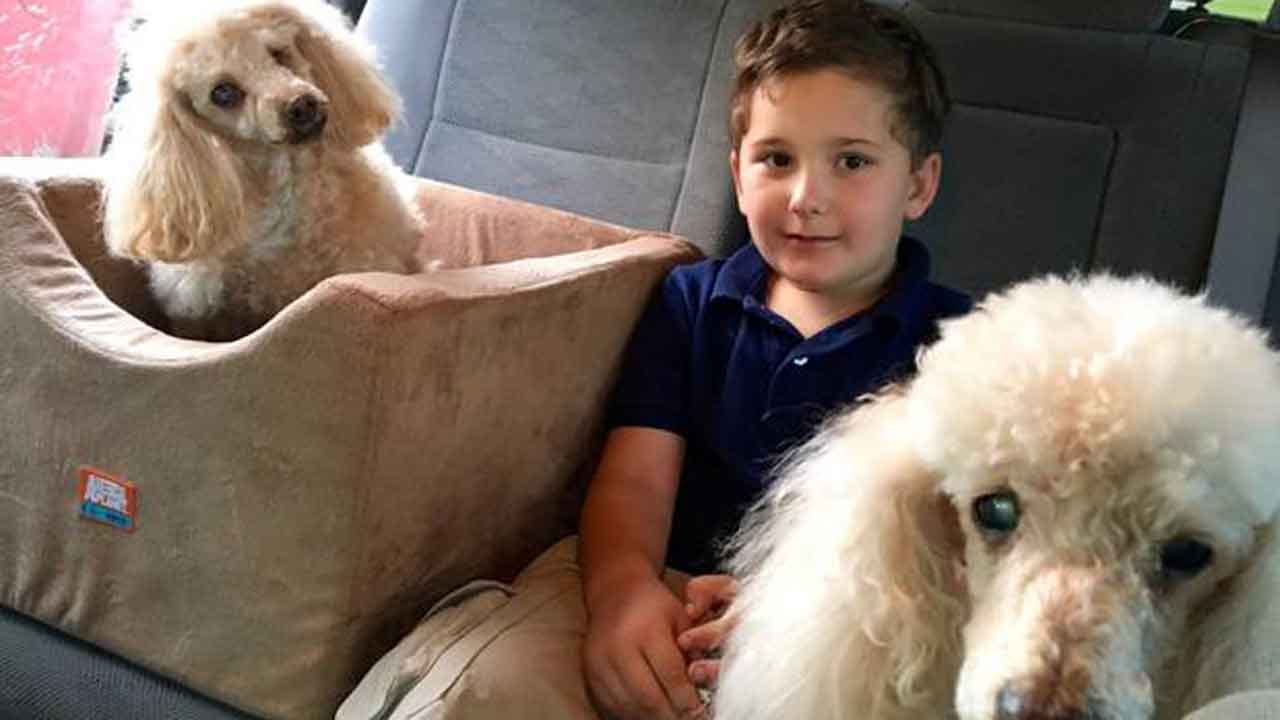 Adopted Boy Is On A Mission To Save Old Dogs Who Need A Home: 'I Know ...